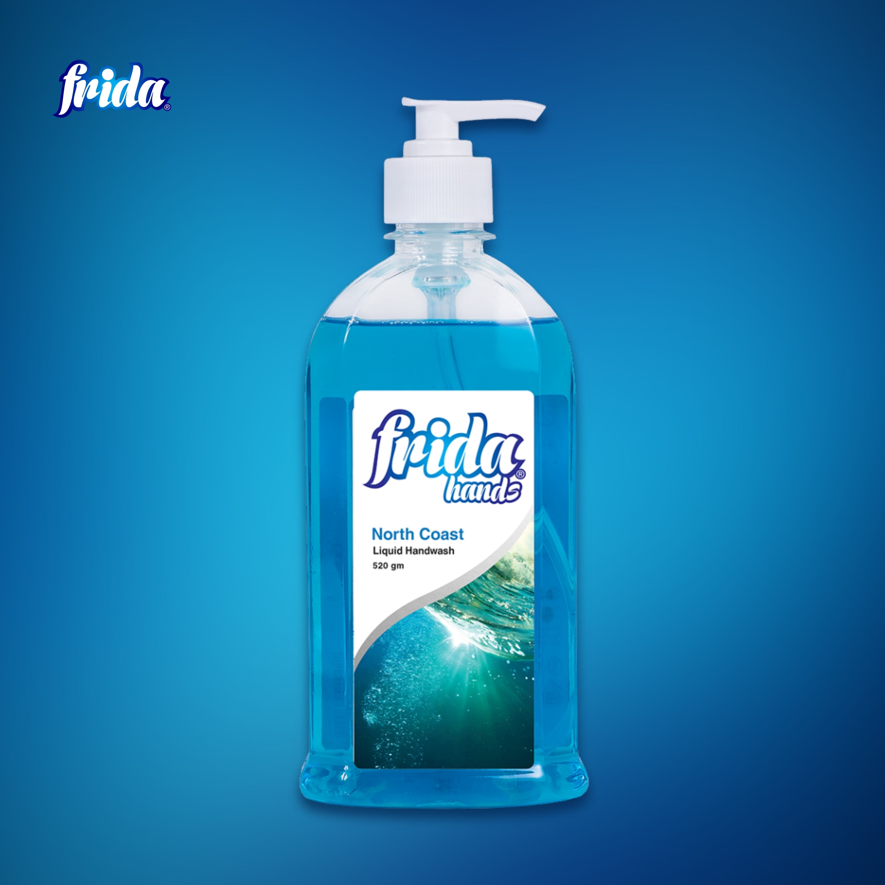 Frida Liquid Hand Wash – North Coast (520ml)
